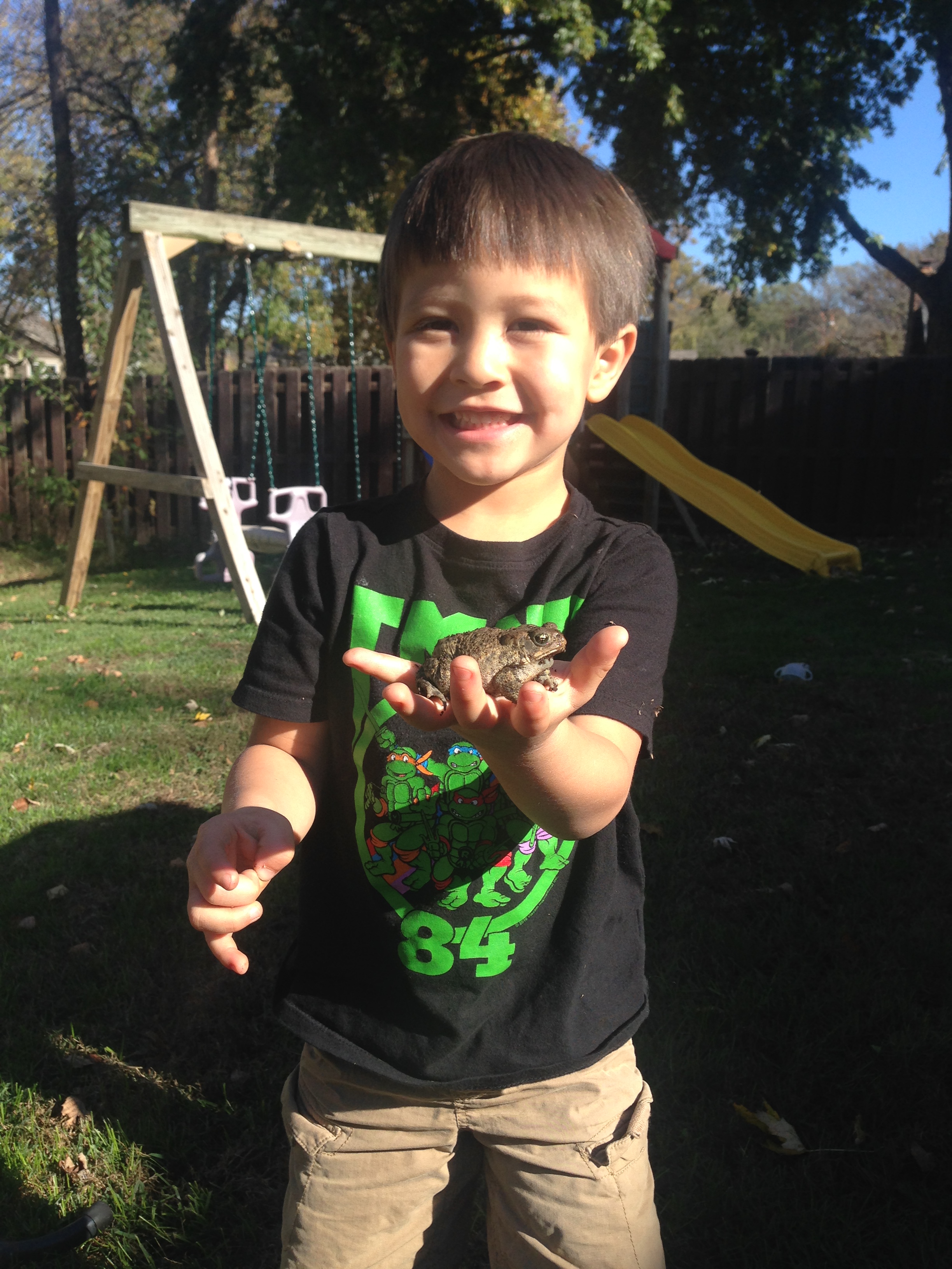 About Us – Parsons' Gardens