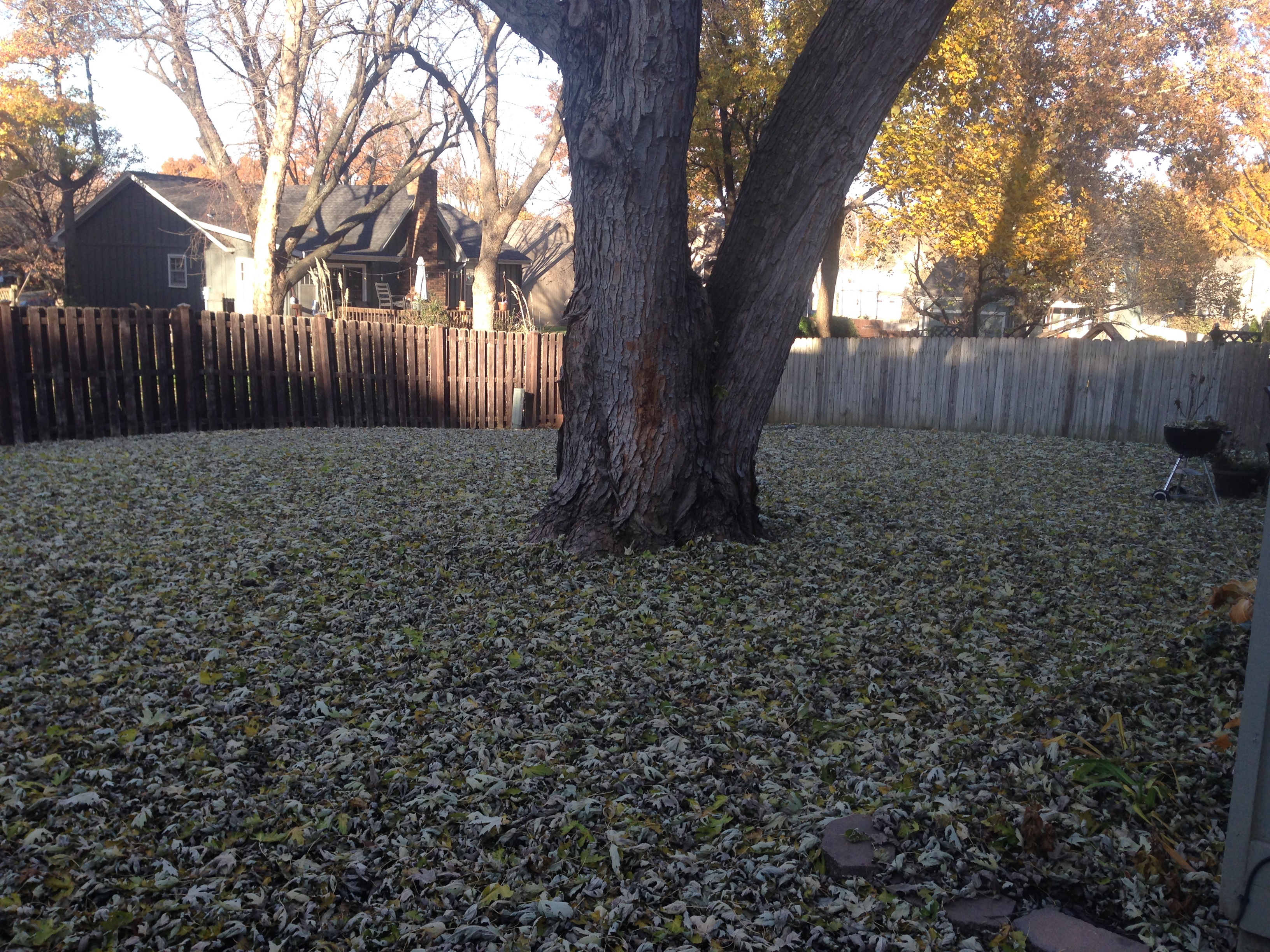 A Look Back at Fall – Parsons' Gardens